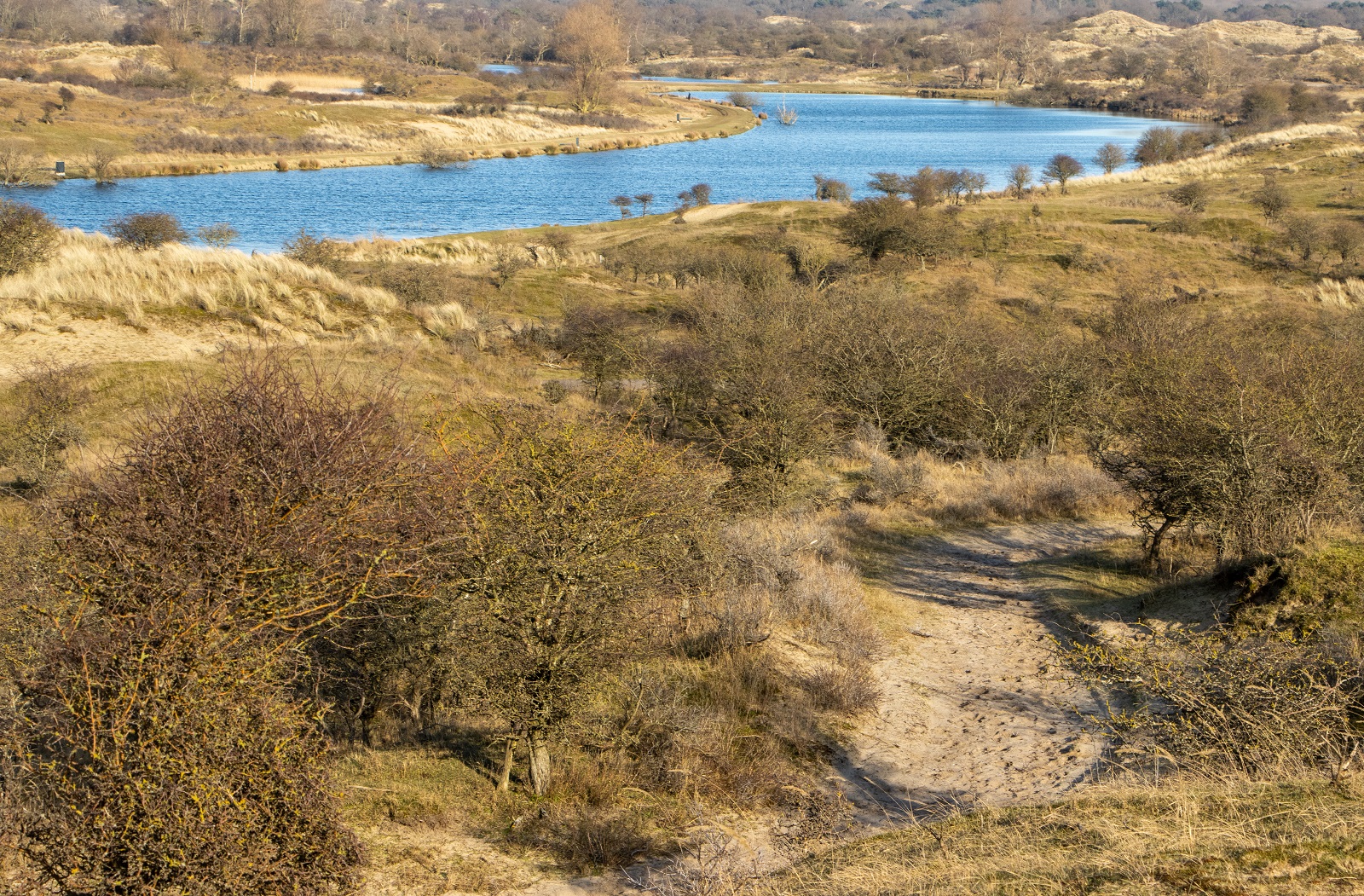 Wandelen in De Zilk: alleen op de wereld