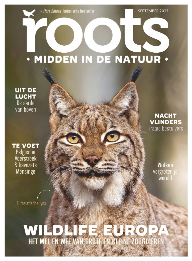 Het verhaal achter de winnende foto: de streepmuis - Roots magazine