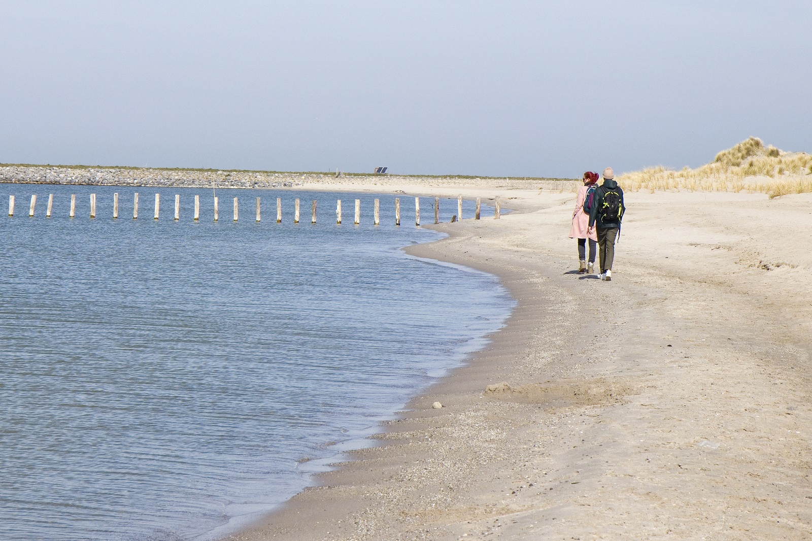Marker Wadden: wandelen over een piepjong eiland