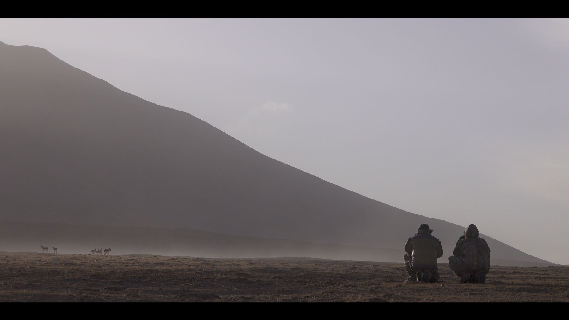 TV-tip 19 april: The Velvet Queen, van fotograaf Vincent Munier