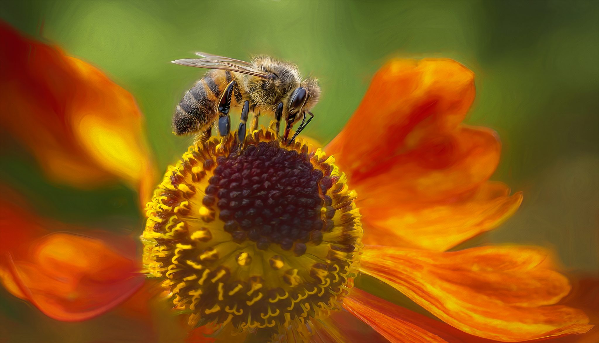 Deze inzendingen vielen op bij de Roots Foto van de Maand mei wedstrijd