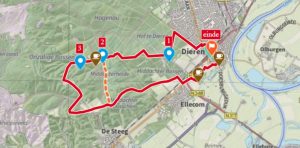 Wandelroute Dieren: betoverende bergbossen op de Veluwe