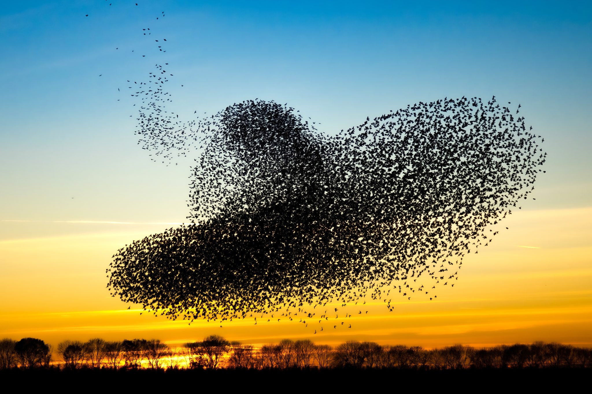 Natuur als kunst, de 10 mooiste beelden - Roots magazine