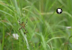 Roots Magazine - Beleef de natuur