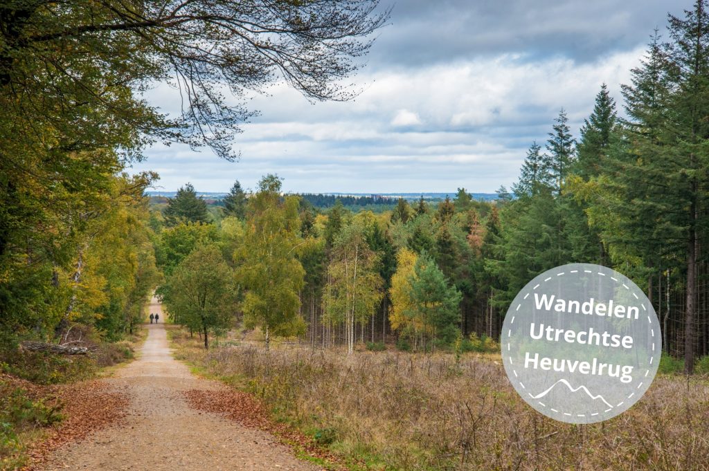 Wandelen Utrechtse Heuvelrug: de mooiste natuurroutes