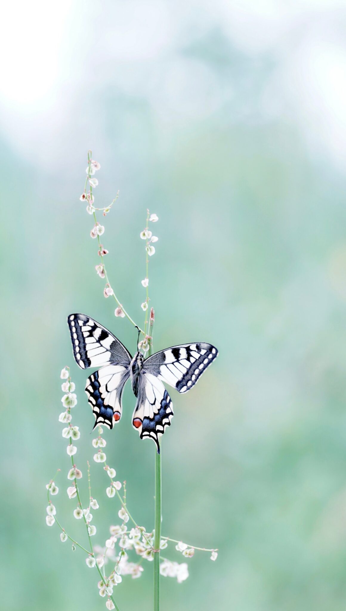 De 10 mooiste foto's van heel dichtbij - Roots magazine