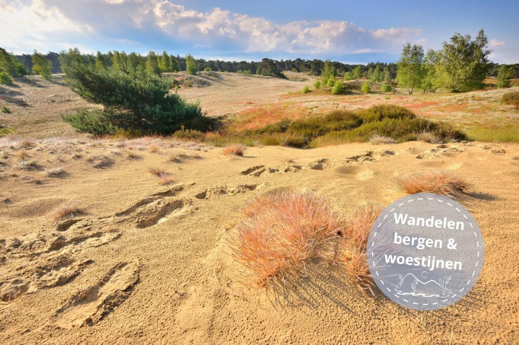 Bijzondere wandelingen Nederland: verken bergen en woestijnen